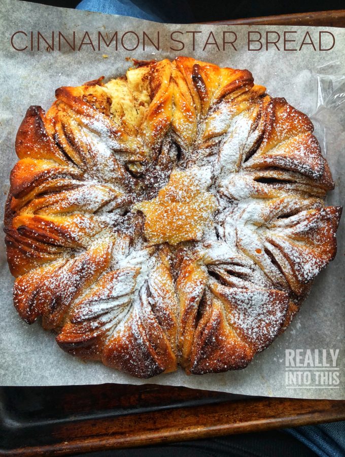 Cider Gingerbread Bundt Cake - Really Into This